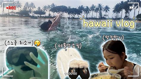 하와이 신행🌴l 스노클 취소된 사연😢ㅣ와이켈레 아울렛 ㅣ여유로운 호텔 수영🍹 Youtube