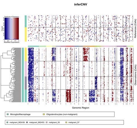 Chapter Copy Number Variation Estimation From Scrna Seq Hku Single Cell Workshop Modules