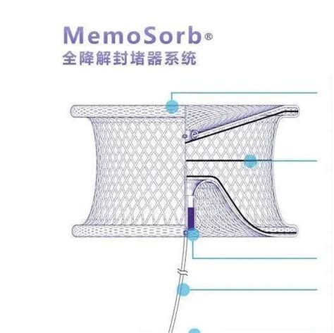 全球首款全降解封堵器系统投入临床应用范太兵华中患者