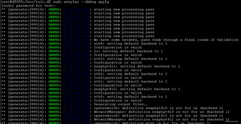 记一次netplan配置无效的问题定位过程 netplan apply网络配置未生效 csdn博客