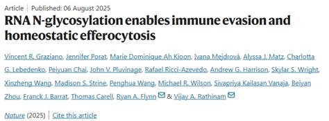 Rna N 糖基化通过免疫逃逸和稳态胞葬作用维持免疫平衡的分子机制 市场动态 新闻中心 西宝生物科技（上海）股份有限公司 Powered By Seebio