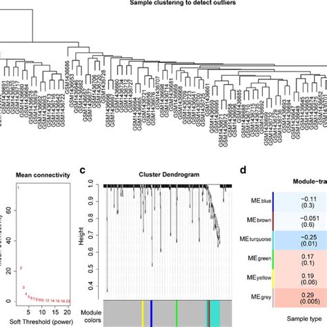 Wgcna Analysis Mrna Microarray Data Of Gse20129 A Schematic Diagram Of