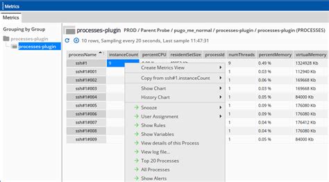 Geneos Stop And Start Commands Are Missing In The Processes Plugin