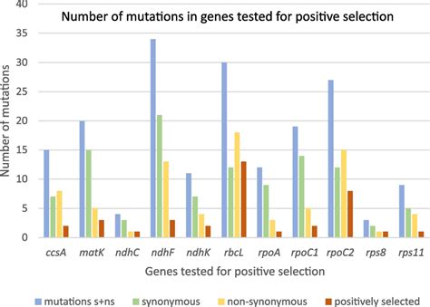 Number Of Mutations In Genes Tested For Positive Selection