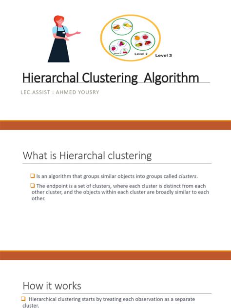 Lec11 Hierarchal Clustering Pdf