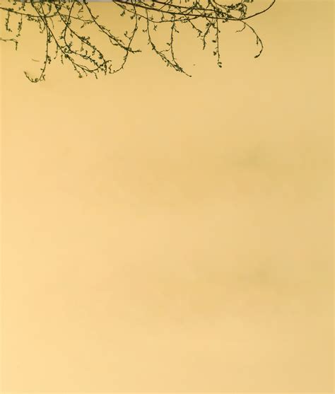 노란 접시와 배경에 껍질을 벗긴 바나나의 사진 · 무료 스톡 사진