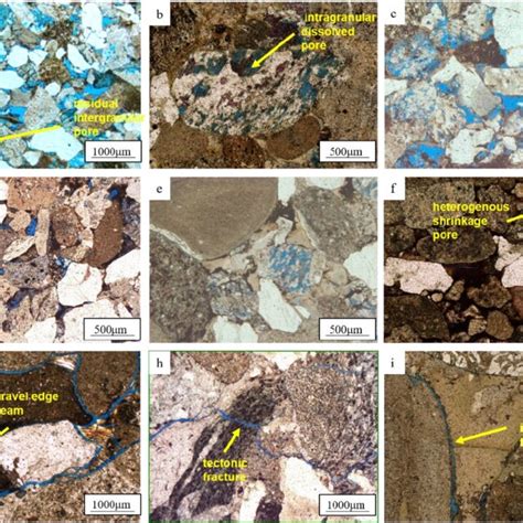 Microscopic Pore Structure Characteristics Of Low Permeability