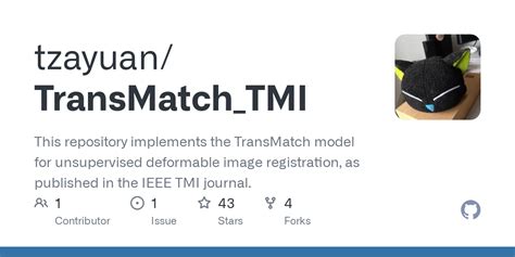 TransMatch TMI Infer Py At Main Tzayuan TransMatch TMI GitHub