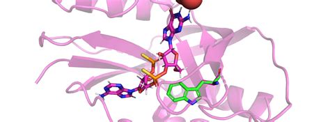 Pycharm How To Select Residues In A Selection For Protein Mutagenesis In Pymol Stack Overflow Pycharm How To Select Residues In A Selection For Protein Mutagenesis In Pymol Stack Overflow