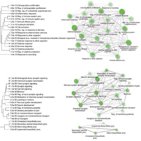 The Biological Process And Hierarchical Clusters Between The Shared