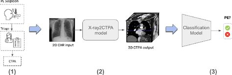 Figure 1 From X Ray2ctpa Generating 3d Ctpa Scans From 2d X Ray Conditioning Semantic Scholar