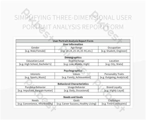 Simplifying Three Dimensional User Portrait Analysis Report Form Excel Template Free Download