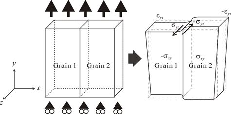 Schematic Illustration Of Deformation Of Model Showing How Stresses ±