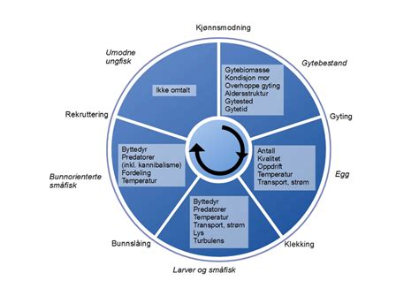 The Early Stages Of A Cods Life Cycle And Factors That Affect Survival