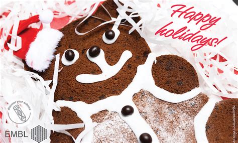 2023 Stem Discovery Campaign Embl Ells