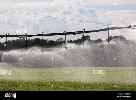 A Lateral Move Irrigation System Sometimes Called A Linear Move Wheelmove Or Side Roll System