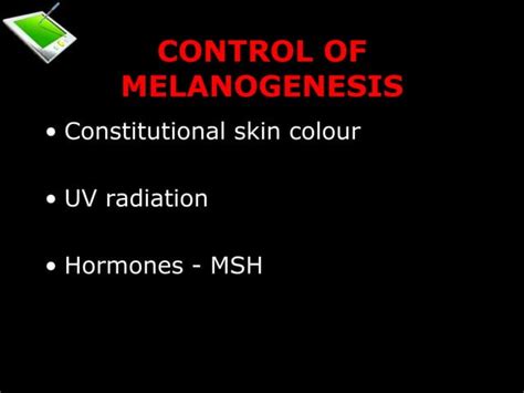 Vitiligo Pptx Skin And Dermatology Diseases And Conditions
