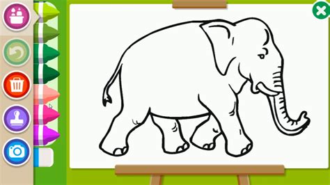 Coloring And Learn ระบายสีช้าง 🐘🐘 สีสันสวยงามสำหรับเด็ก Youtube