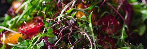 A Vibrant Salad With Assorted Microgreens Including Green Red And