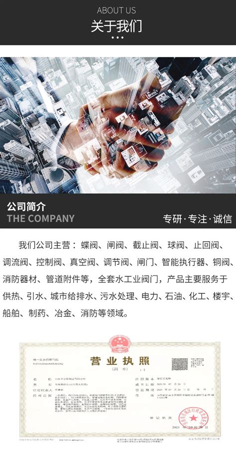 H44H 16C铸钢旋启式止回阀法兰止回阀单向逆止阀 阿里巴巴