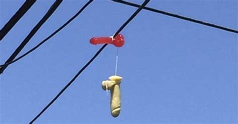 Hundreds Of Sex Toys Dangling From Wires In Portland Provoke Laughter