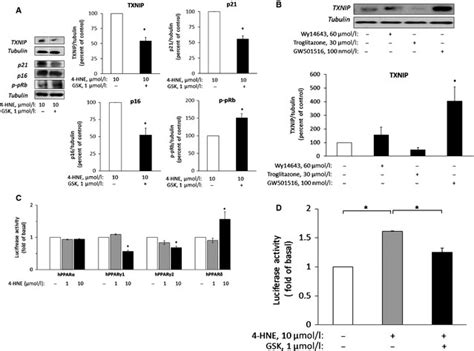 Pparδ Modulates The Expression Of Txnip And Senescence Markers In Vec