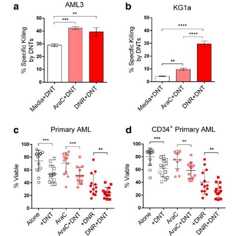 Chemotherapy Pre Treatment Sensitizes Aml Cells To Dnt Mediated