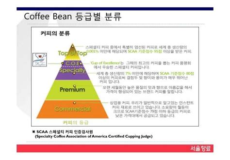 스페셜티커피 스페셜커피 바리스타 Baristaclub 바리스타클럽 커피카페교육정보