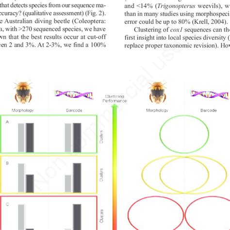Different Cases Of Clustering Performances And Summary Of The Issue Of