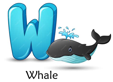 Premium Vector Letter W Is For Whale Cartoon Alphabet