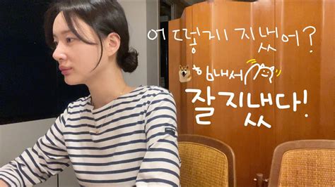 Vlog 어떻게 지냈냐면🍀근황 토크회사 복직새로운 일다시 돌아온 일상김밥 해먹기오징어 회 넘 맛있어시바견 택이