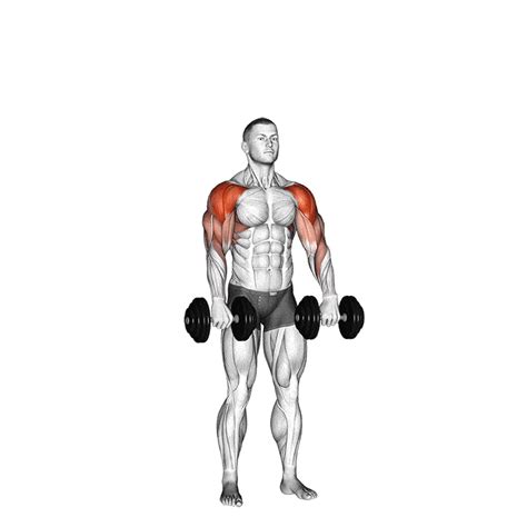 Dumbbell Cuban Press How To Do Properly Muscles Worked Artofit