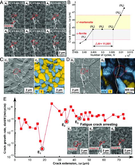 Fatigue Crack Arresting A A Sequence Of In Situ Se Images A 1 A 6 Download Scientific