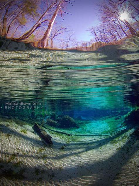 Naked Spring High Springs Florida Florida Springs