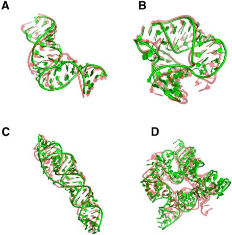 The Predicted Structures Green For Four Rnas Containing Pk Structures Download Scientific