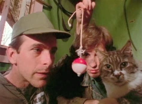 Teenage Catgirls In Heat 1994 Cinema Cats