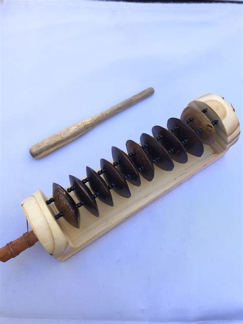 Coco Frog Lark In The Morning