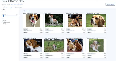 How To Build Custom Image Classifiers Using Ibm Watson Geeksforgeeks