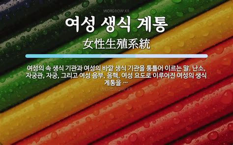 여성 생식 계통 뜻 여성의 속 생식 기관과 여성의 바깥 생식 기관을 통틀어 이르는 말 난소 자궁관 자궁