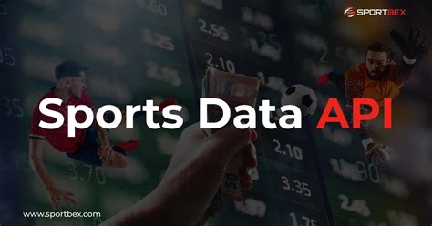 sports data api real time live scores and stats sportbex