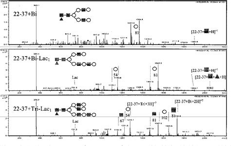 Figure 2 From Characterization Of Glycopeptides Released From Pmol