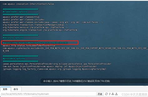 Linux 搭建金蝶中间件aas V9 保姆级金蝶apusic中间件部署 Csdn博客