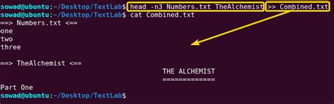 the “head” command in linux [7 practical examples] linuxsimply