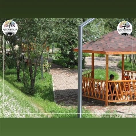 Тохижилт Ногоон байгууламж Мод Баялаг Үндэс Заяа Facebook