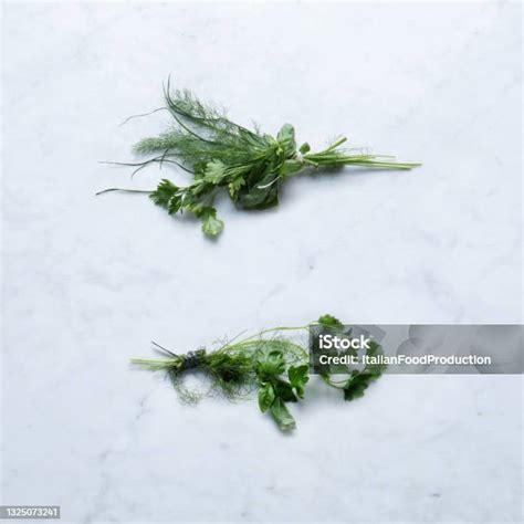 대리석 배경에 고립 된 향기로운 허브 바질 파슬리 이탈리아에서 회향 나뭇 가지 돌 부엌 테이블에 꼬기와 함께 번들 0명에 대한 스톡 사진 및 기타 이미지 Istock