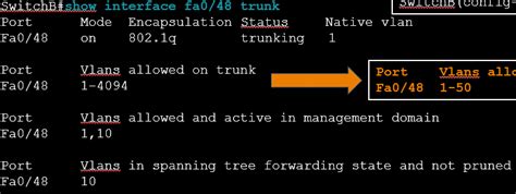 Access Trunk Streamlined Connectivity