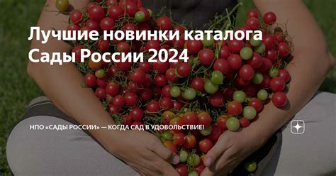 Лучшие новинки каталога Сады России 2024 НПО «Сады России — когда сад в удовольствие Дзен