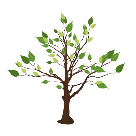 Elegant Tree PNG Images With Transparent Background Free Download On Lovepik
