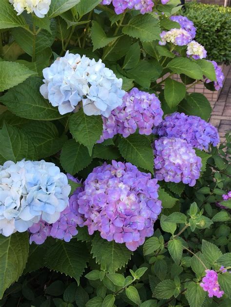 6月14日金曜日 放課後ブラブラ日記