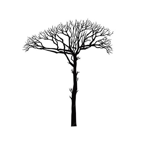 Premium Vector Leafless Tree Silhouette On A White Background Vector